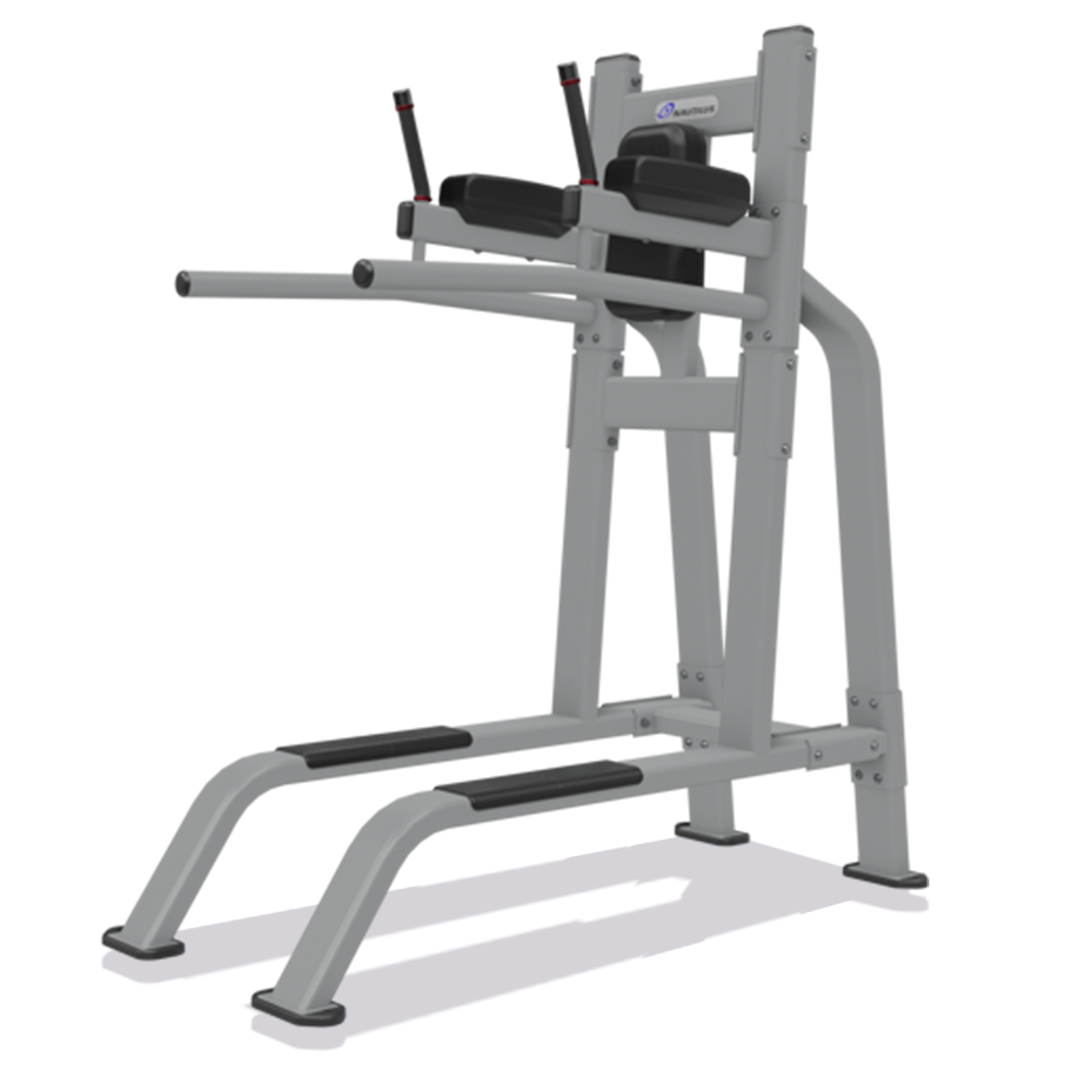 Nautilus Pull-Up | Dip | Leg Raise | Fitness Direct