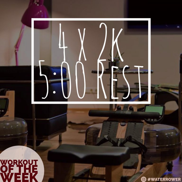 Workout of the Week – 101 | Fitness Direct