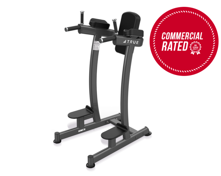 TRUE Fitness XFW-6400 Vertical Knee Raise Dip | Fitness Direct