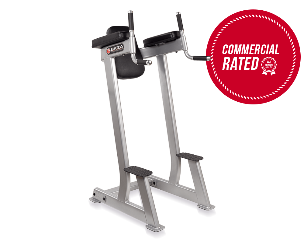 Batca FZ-9 Vertical Knee Raise Dip | Fitness Direct